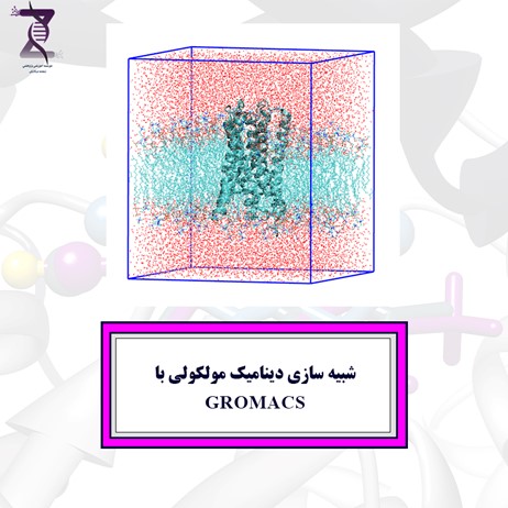 شبیه‌سازی دینامیک مولکولی با GROMACS” – مجموعه آموزشی پژوهشی زیست پردازش